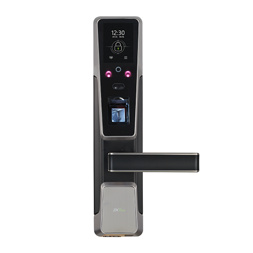 ZM100 | ZKTeco